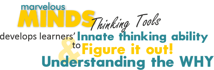 The Thinking Tools Specialist - Learning Designs